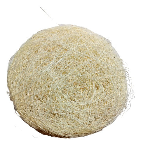 Estropajo redondo de ixtle #23008 – Tienda La Luna